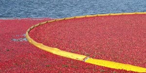 Floating Booms & Containment Barriers | Elastec American Marine