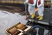 TDS118 | Floating Drum Oil Skimmers | Elastec