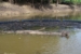 Brute Boom | Floating Log Booms for Debris & Litter | Elastec