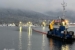 Brute Boom | Floating Log Booms for Debris & Litter | Elastec